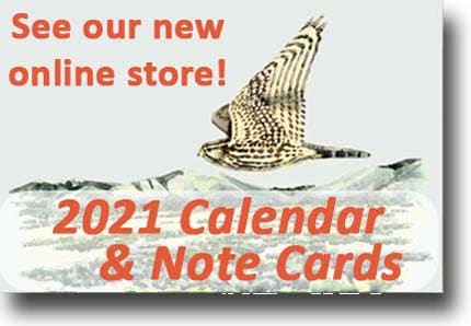 Birding Tours with FIELD GUIDES: a lot of birds, a lot of fun