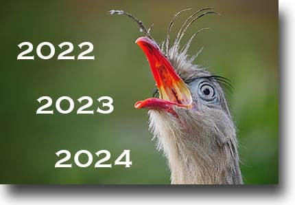 Birding Tours with FIELD GUIDES: a lot of birds, a lot of fun