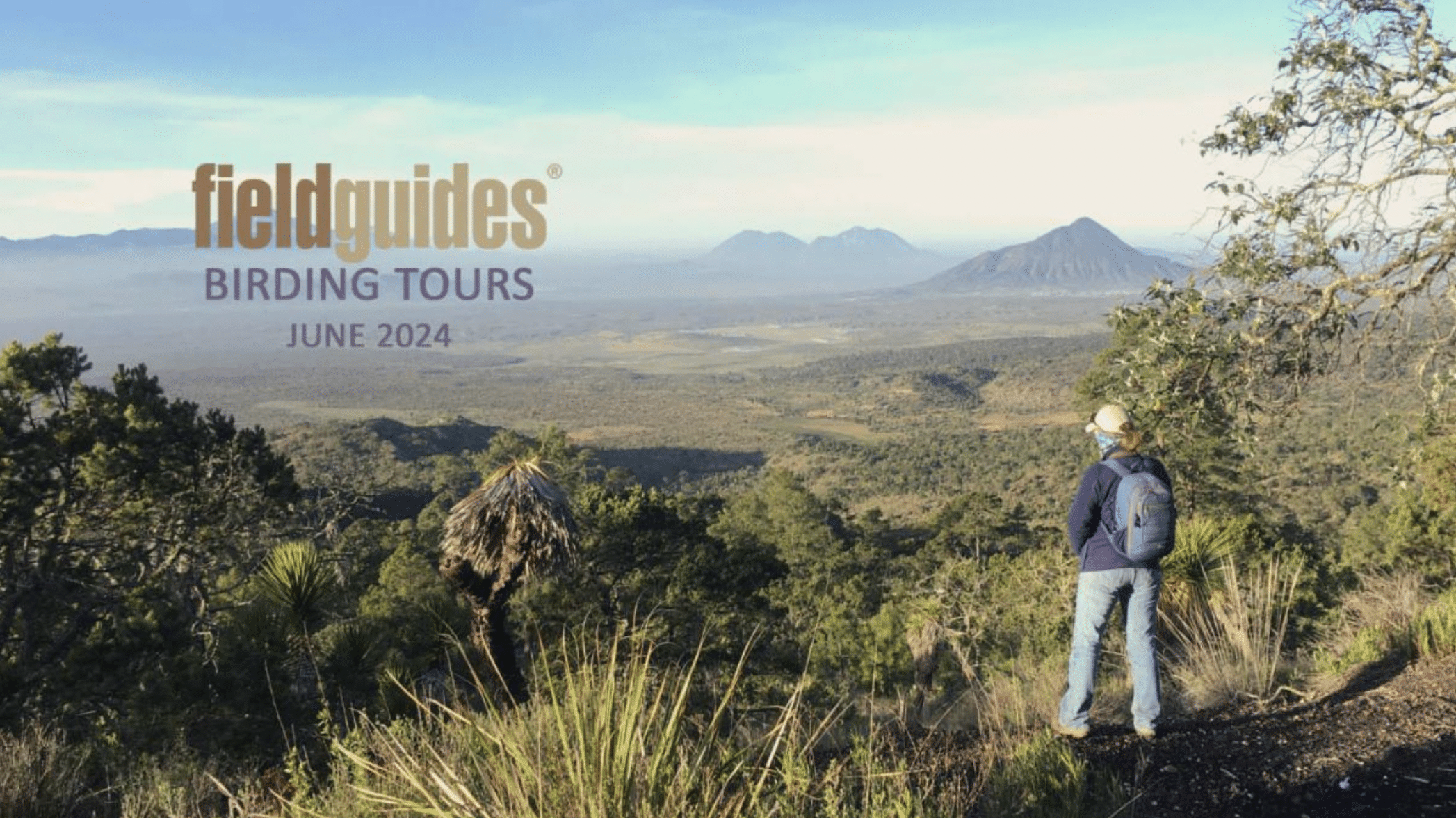 Our Latest News: FIELD GUIDES BIRDING TOURS